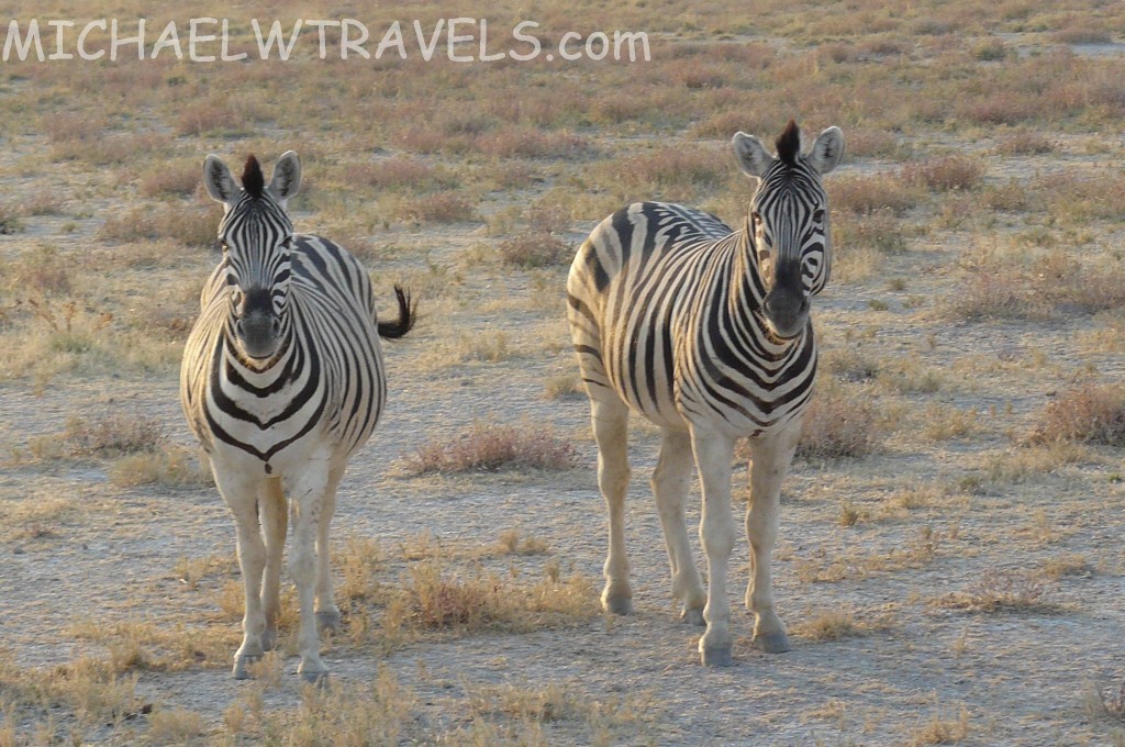 Contributor Ridiculous Street Signs #10: Humped Zebra Crossing ...