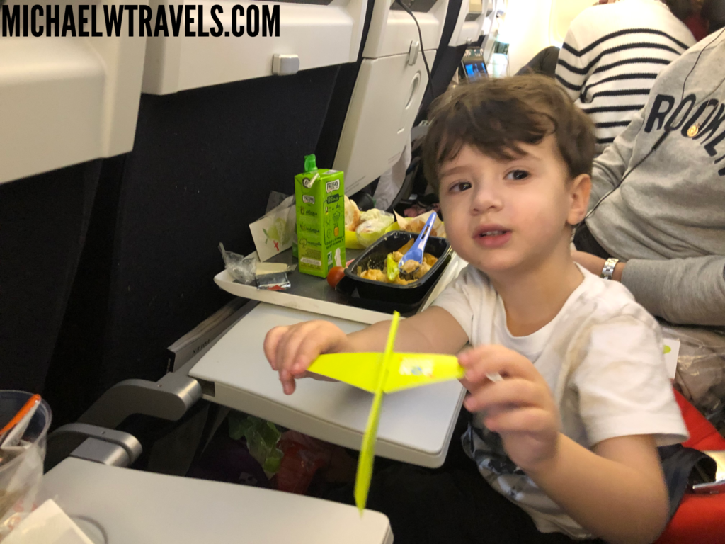 ALWAYS Pre-Order A Kids Meal For Your Little Ones For Upcoming Flights